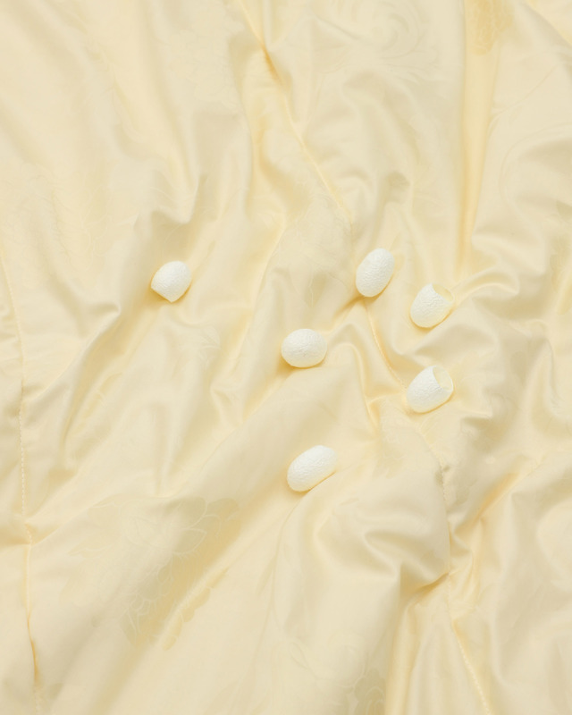 Одеяло «Шелковый путь» Daune Royal 191684 купить за 11499.0 рублей в ...