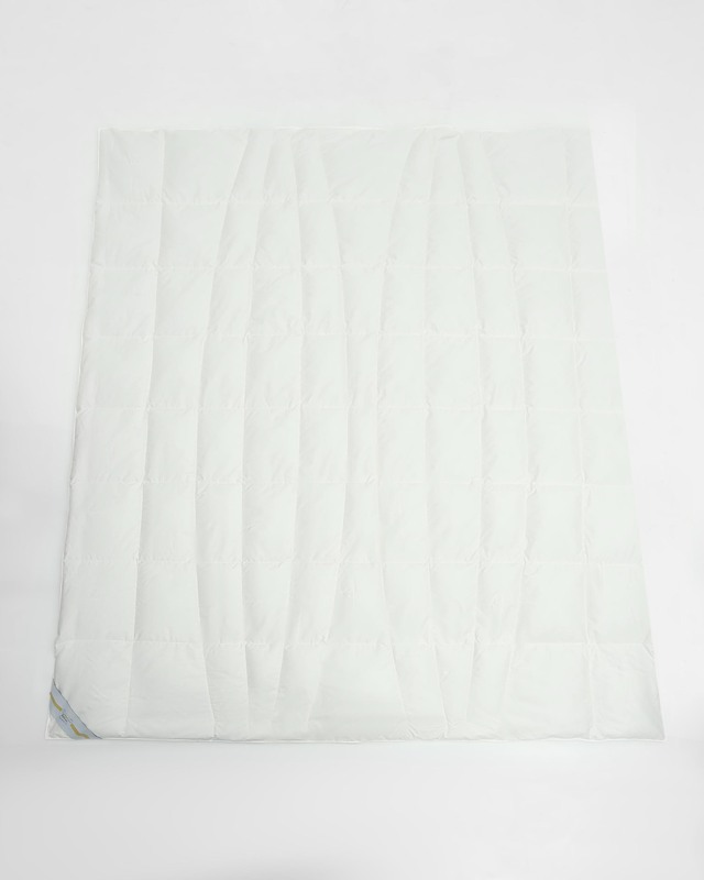 Одеяло Classic Bodyform Daune Royal 191203 купить за 16999.0 рублей в ...